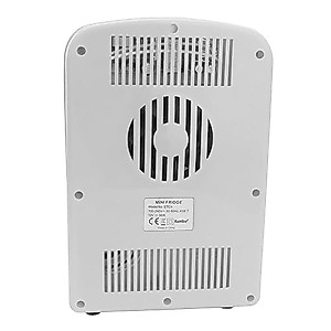 Mini Beauty Fridge, Portable Cooler Warmer Refrigerator ABS Plastic 36W AC100-240V DC12V Noiseless for Office (US Plug)