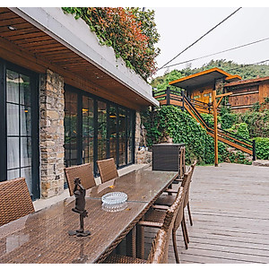 BRASSTAR Cast Iron Frog Prince Dance Statue Paperweight Fantastic Figurine Garden Lawn Home Office Desk Decor Collectible Gift PTWQ014