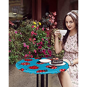 Elastic Fitted Tablecloth Waterproof Table Cloth Cute Ladybug Red Black Carapace Insect Dense Animal Blue Wipeable Round Table Cover for Outdoor Picnic Camping Party