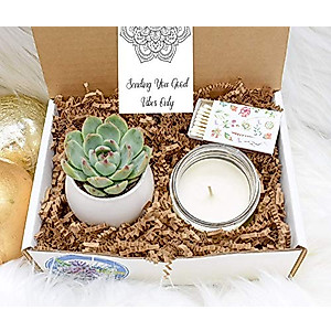 Good Vibes Gift Box - Succulent Gift Box - Live Succulent gift box - Friend Gift Box - Good Vibes Only - Birthday Present - Send a Gift
