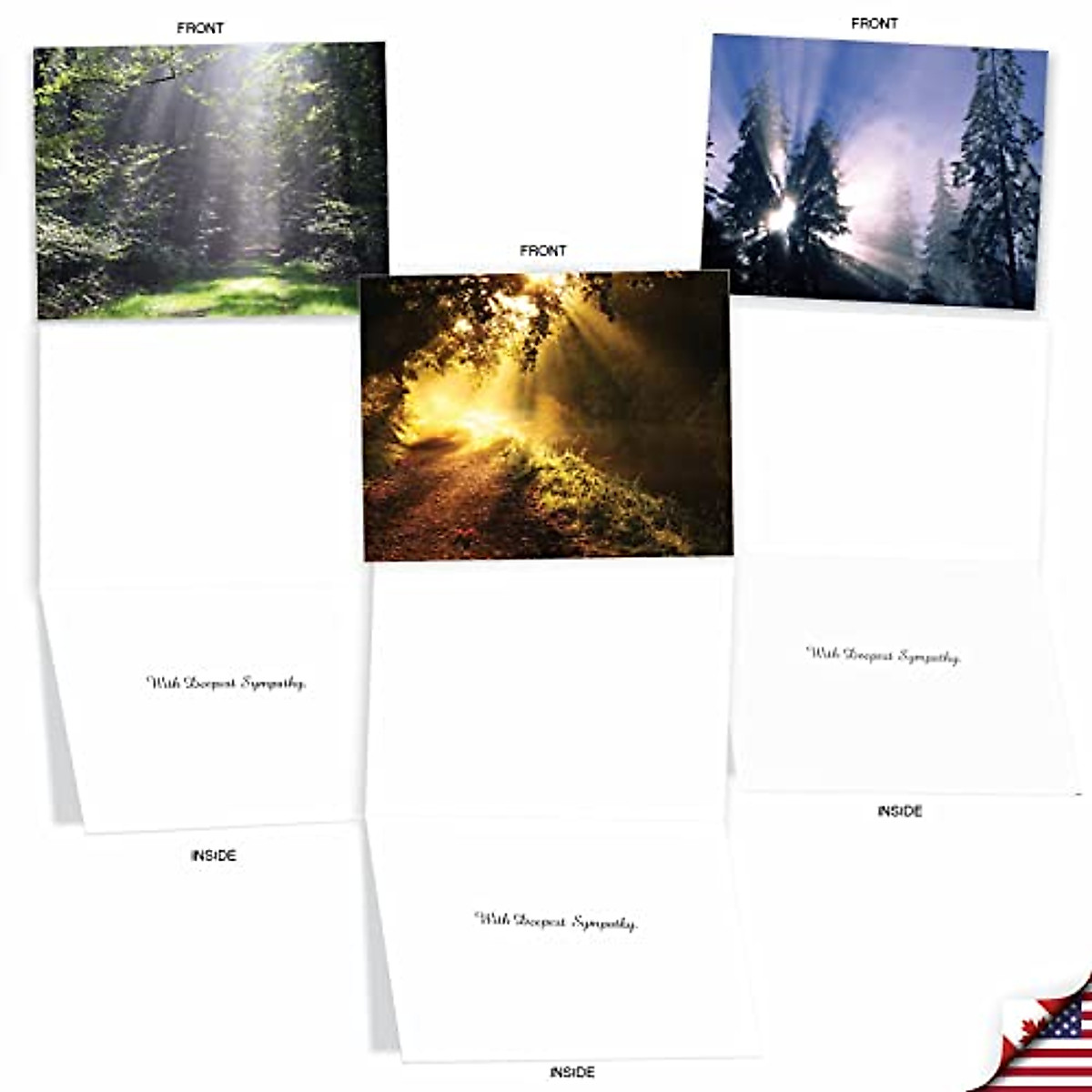 The Best Card Company - 10 Assorted Sympathy Cards Boxed (4 x 5.12 Inch) - Condolence, Bereavement Greetings - Shining Through AM1735SMG-B1x10