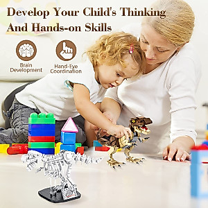 BEENLE Dinosaur Fossils Building Kit for Kids Building Dinosaur Blocks Toys Toddler Creative Thinking 2 Pack Dino Block Playset Kit Educational Kit Stem Toys Gifts for 6+ yr Boys Girls (906 PCS)