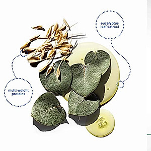 Pureology Pure Volume Shampoo and Conditioner Bundle | For Flat, Fine, Color-Treated Hair | Sulfate-Free | Vegan | Updated Packaging | 9 Fl. Oz.