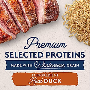 Natural Balance Limited Ingredient Adult Dry Dog Food with Healthy Grains, Reserve Duck & Brown Rice Recipe, 12 Pound (Pack of 1)