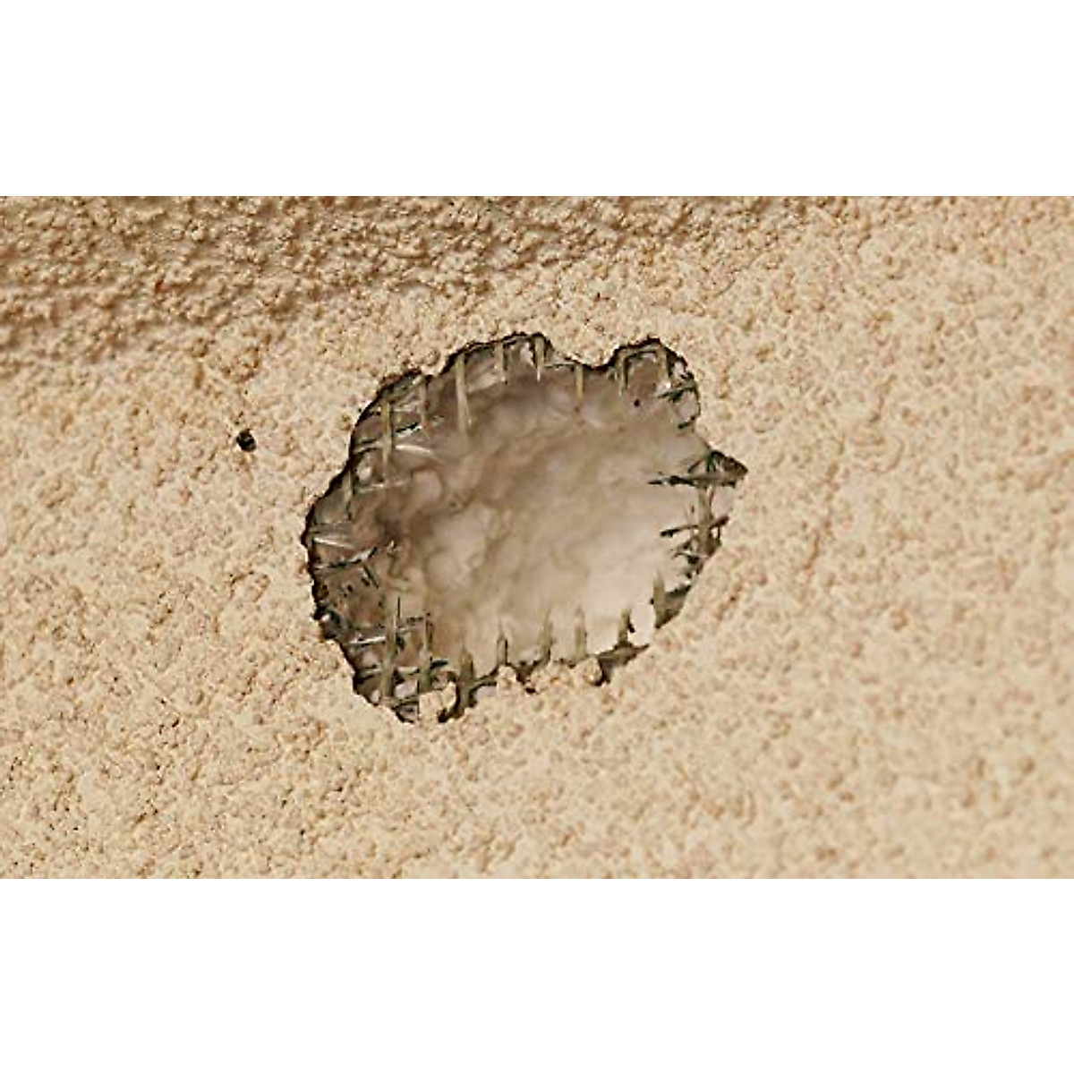 Bird Banisher Woodpecker Deterrent & Bird Scare Device