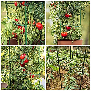 Odree 4 Pack Tomato Cages for Garden, 4ft Plant Support Garden Stakes, Garden Stakes Tomato Cage, Garden Trellis Stakes for Climbing Plants Vegetable