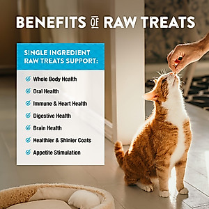 Northwest Naturals Raw Rewards Freeze-Dried Minnow Treats for Dogs and Cats - Bite-Sized Pieces - Healthy, 1 Ingredient, Human Grade Pet Food, All Natural - 1 Oz