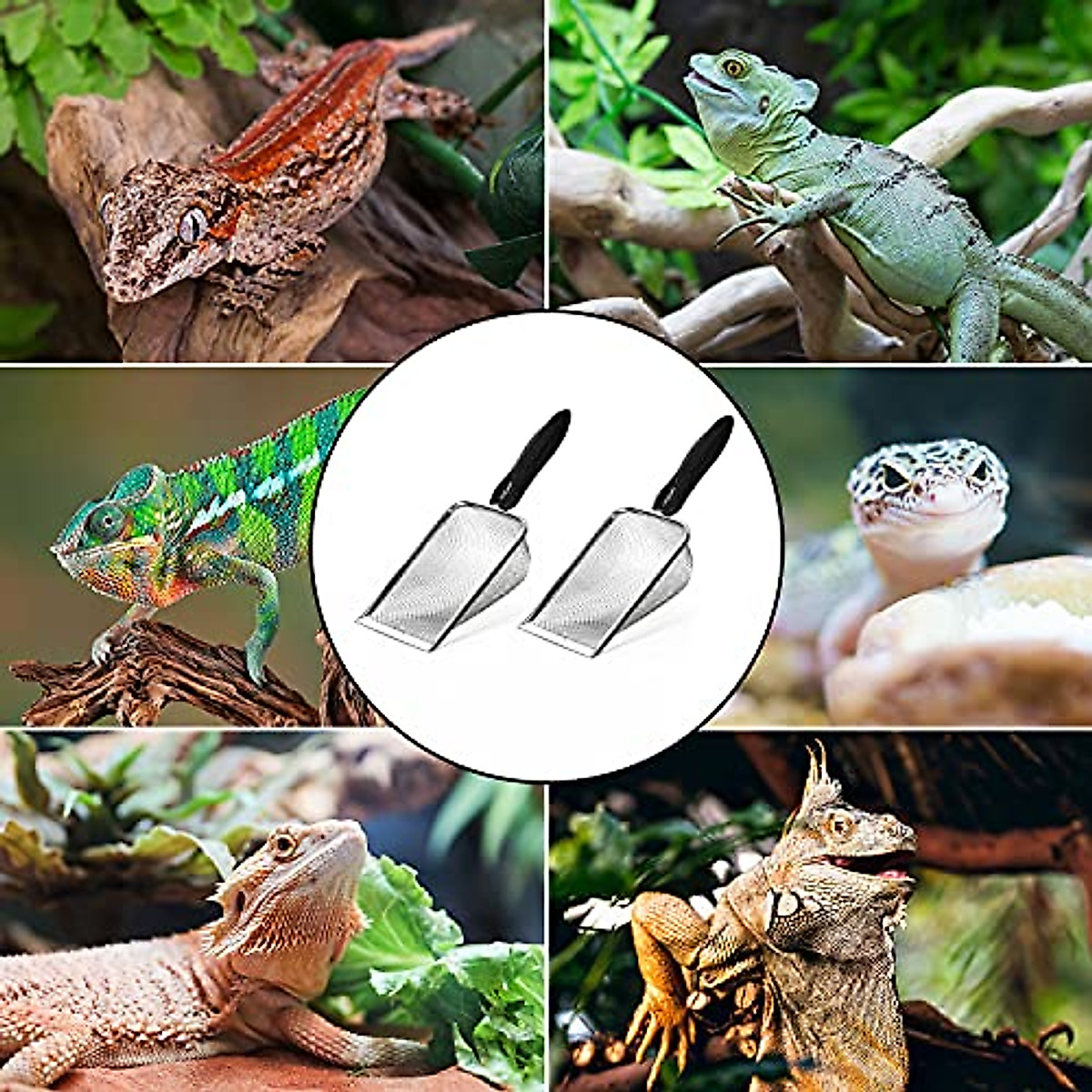 REPTI ZOO 2PCS Reptile Sand Fine Mesh Reptile Scooper Bearded Dragon Sand Shovel Terrarium Substrate Durable Litter Cleaner Corner Scoop Combo Set