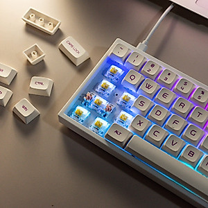 YUNZII KC68 Hot Swappable Mechanical Keyboard 68-Key Gaming Keyboard with NKRO, RGB Backlit for Mac/Win/Gamers (Gateron Black Switch, Lavender)