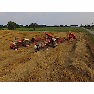 Hobby Hay Alfalfa and Orchard Grass Mixed Hay - All Natural Hay for Rabbits, Guinea Pigs, Hamsters, Gerbils, and Other Small Animals - 8 lb