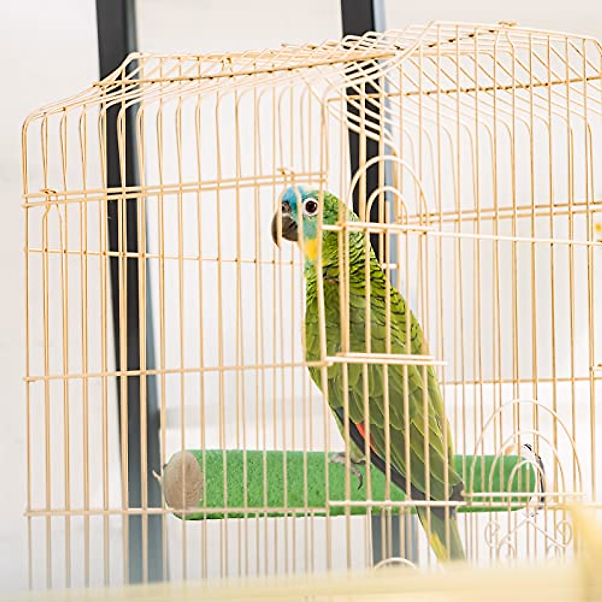 5 Pack EndearingTails Birdcage Stand (Natural Color), Natural Wood Perch Toys for Small Parrot, Like Parakeets, Lovebirds, Cockatiels