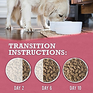 Purina Beyond Farm-Raised Beef and Spinach in Gravy Grain Free Wet Dog Food - (12) 12.5 oz. Cans