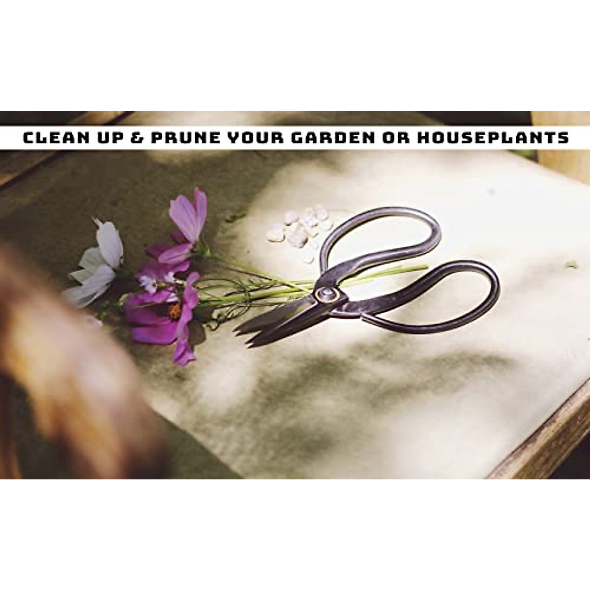 Skyhaven Harvest Pruning Scissors, Traditional Higurashi Japanese-style Bonsai shears for indoor outdoor gardening. A versatile tool for use around the kitchen, house and garden