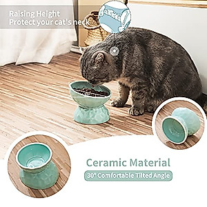 TAMAYKIM Tilted Ceramic Raised Cat Bowls, 8 OZ Food and Water Bowl Set for Cats, 5 inch Porcelain Elevated Stress Free Feeding Pet Dish, Dishwasher and Microwave Safe, 2 Pack (White & Mint Green)