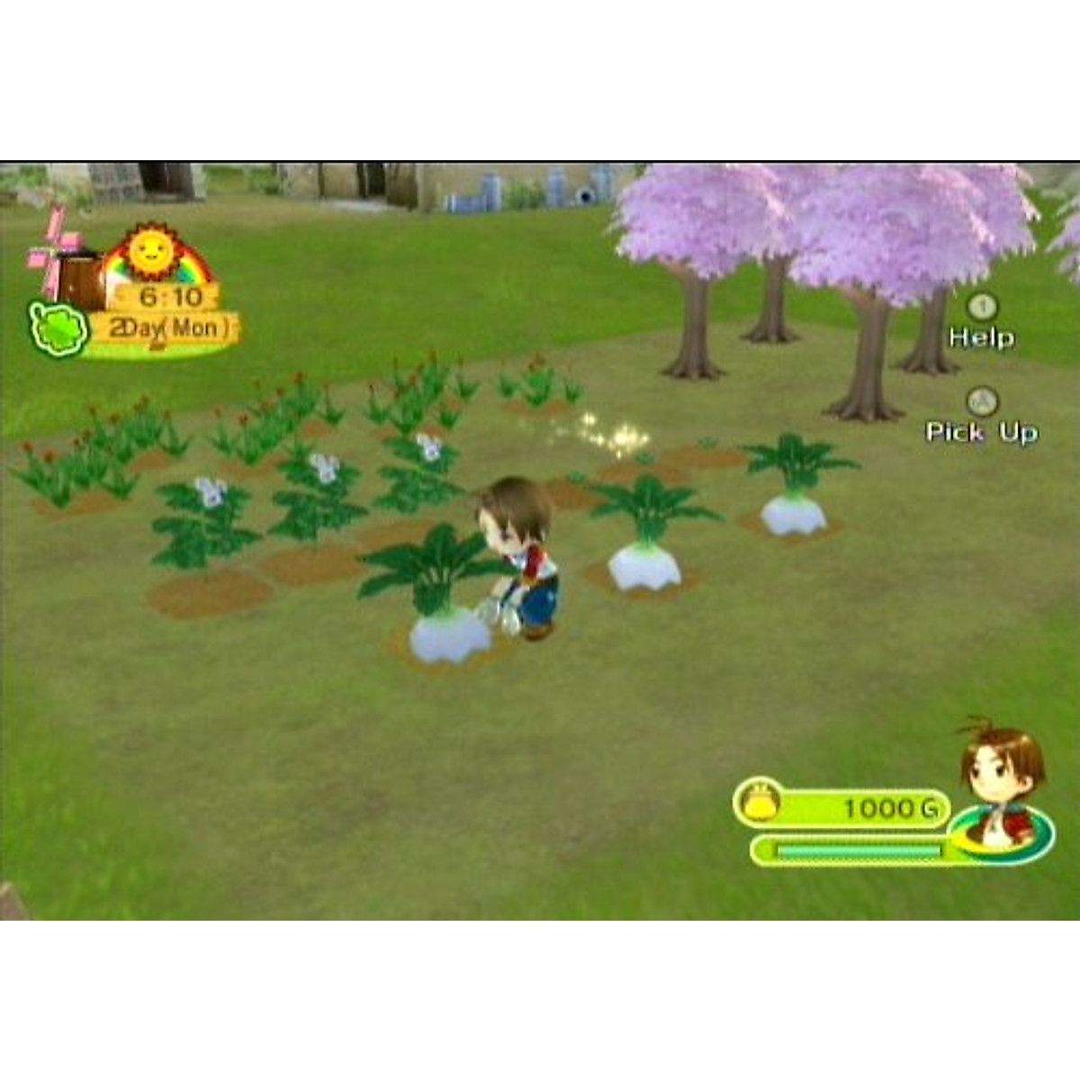 Harvest Moon: Animal Parade - Nintendo Wii