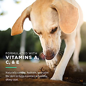 Wet Ones for Pets Multi-Purpose Dog Wipes with Vitamins A, C + E - Fragrance-Free Dog Wipes for All Dogs Wipes with Wet Lock Seal - 300ct Total Wipes for Dogs