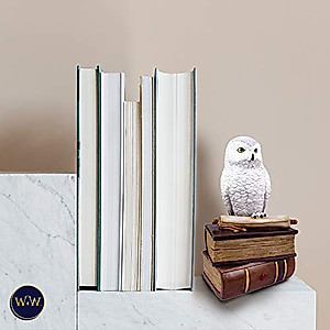 World of Wonders Wizard School White Owl Sculpture Decorative Box with Lid | Knick Nacks for Shelves and Owl Decor | Home Decor for Table Top | Book Lover Gift - 9"