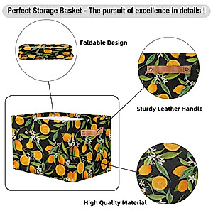 Funky Qiu Tropical Lemon Flower Storage Basket Cube Large Toys Storage Box Bin with Handle Collapsible Closet Shelf Cloth Organizer for Nursery Bedroom,15x11x9.5 in,1 Pack
