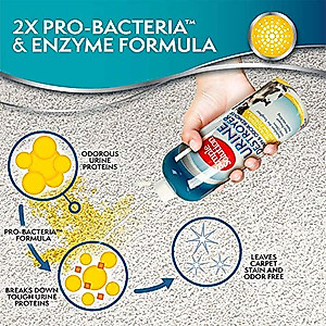 Simple Solution Urine Destroyer Enzymatic Cleaner | Pet Stain and Odor Remover with 2X Pro-bacteria Cleaning Power | 32 Ounces