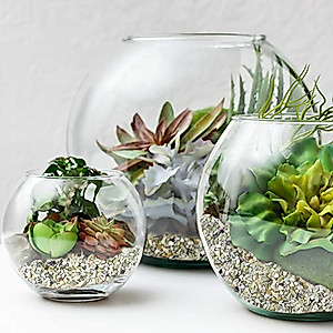 OUPENG Succulent and Cactus Bonsai DIY Rocks, Jade Bean Pebbles, Natural Decorative Polished Stones Vase Fillers Gravel for Plants，Terrarium, Fairy Gardening, Indoor Outdoor Decor Ornamental Stones.