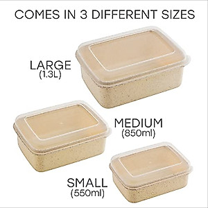 Simplify 6 Piece Set Eco Wheat Plastic Food Storage Containers | Clear Lid | Meal Prep | Leftovers | Kitchen | Lunch | Natural | Rectangular | 3 Sizes