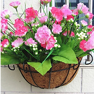 Tosnail 2 Pack Metal Wall Hanging Planter Basket with Coco Liner - Great for Indoor or Outdoor Plants