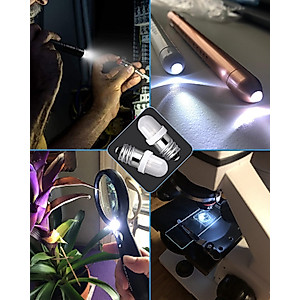 Keiurot E10 Led Bulb Flashlight Bulbs E10 Mini Led Bulb 6V 6.3V DC/AC for Physical Electrical Experiment,Magnifying Glass,Slide Viewers,Microscope lamp White,10Pack