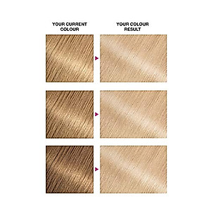 Garnier Olia Very Light Blonde Permanent Hair Dye, No Ammonia for A Pleasant Scent, Up To 100% Grey Hair Coverage, Maximum Colour Performance, 60% Oils - 10.0 Very Light Blonde
