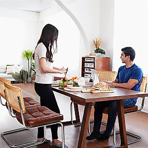 LEMBERI Mid-Century Modern Dining Chairs Set of 2, Upholstered Tufted Faux Leather Accent Chairs Rattan Dining Chair Armless Mesh Back with Metal Chrome Legs, Brown