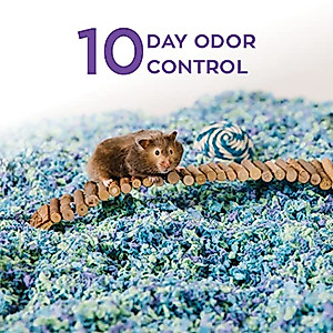 carefresh 99% Dust-Free Sea Glass Natural Paper Small Pet Bedding with Odor Control, 50 L