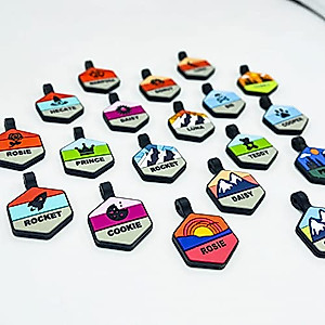 Silent Dog Tag Personalized with 5 Lines of Custom Deep Engraved Durable Soundless Silicone Pet ID Name Tag Hexagon Forest Day