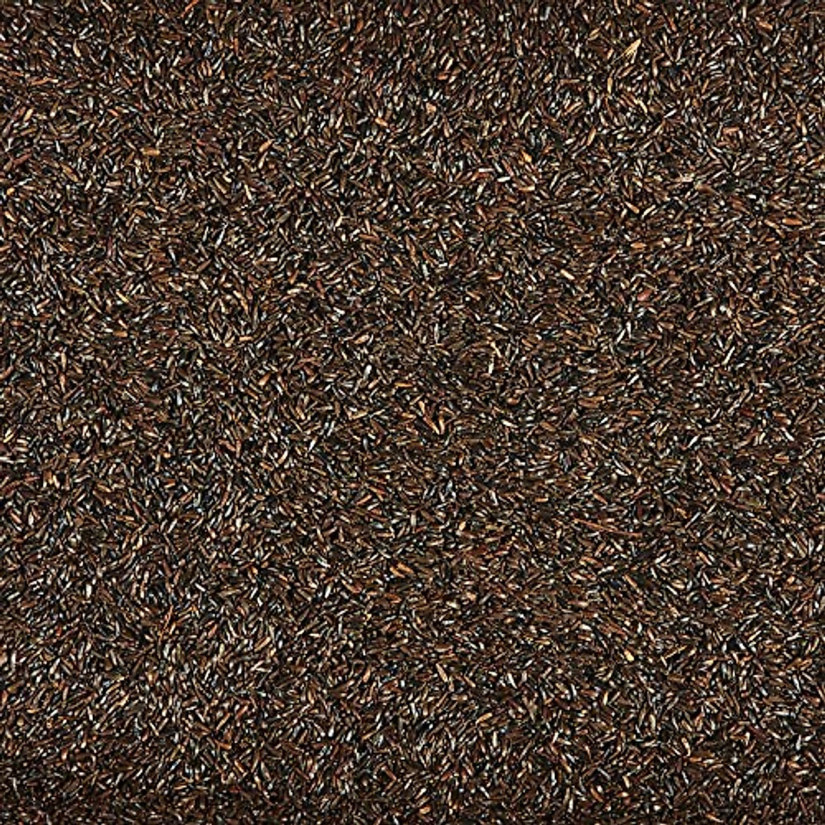 Kaytee Nyjer Wild Bird Food Seed, 5 Pound