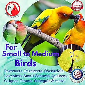 Bonka Bird Toys Halloween Ducks 8" x 3.50", Medium Parrot Chew Preen Spooky Cage Toy, Conure, Quaker, Cockatiel, and Similar (2958 Bat Duck)