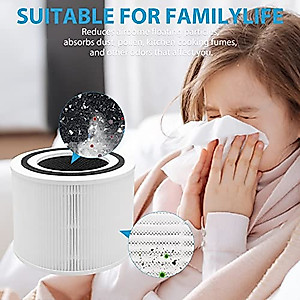 LV-H132 Replacement Filter Compatible with LEVOIT LV-H132 Replacement Filter,LV-H132 Air Filter,For Levoit LV-H132 Air Purifier Filter Replace Parts# LV-H132-RF (White)