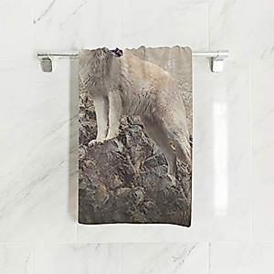 ALAZA Microfiber Gym Towel White Wolf, Fast Drying Sports Fitness Sweat Facial Washcloth 15 x 30 inch