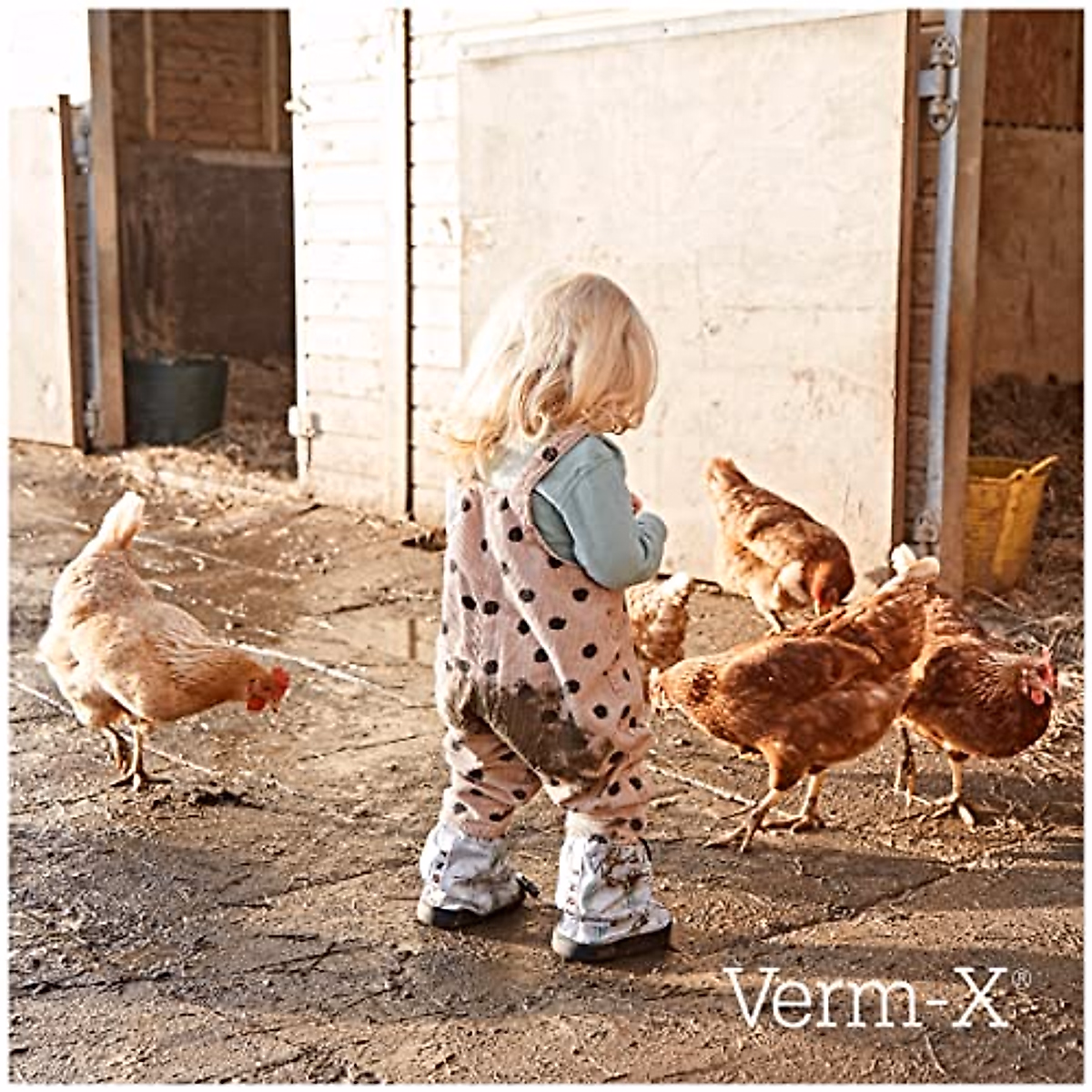 Verm-x Liquid Poultry & Fowl Internal Parasite 250ml