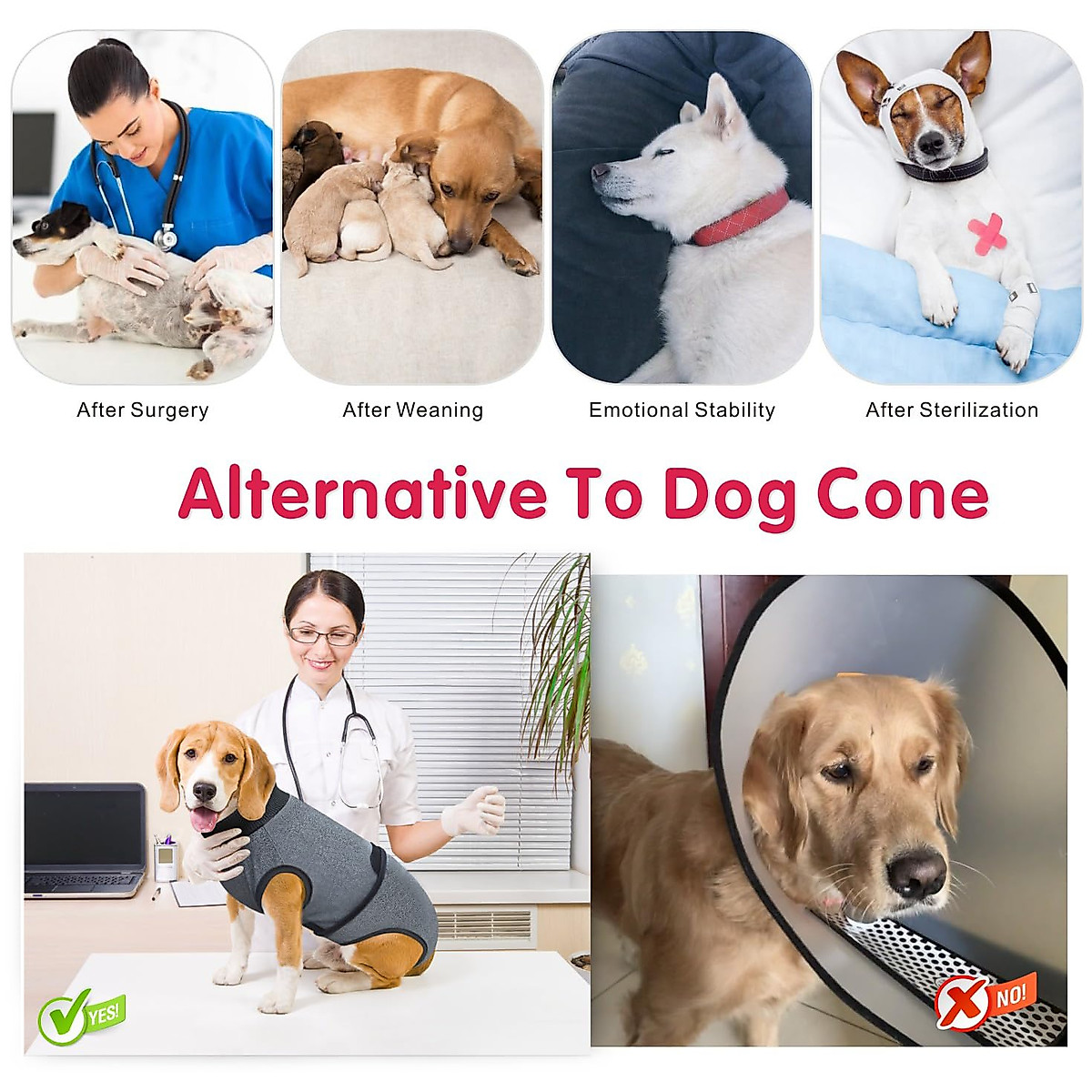 Idepet Dog Recovery Suit for Dogs After Surgery,Onesie Dogs Surgery Suit Female Male Soft Breathable Pet Bodysuit E-Collar & Cone Alternative Surgical Spay Suit Abdominal Anti Licking Wounds (M)