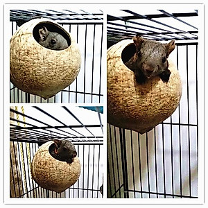 Hypeety Pet Bird Breeding Nest Coconut House Swing Ladder Toys Parrot Parakeets Finches Hamster House Natural Nest Lovebird Cage Hanging Swing Perch (C:Coco Cage Perch Toy)