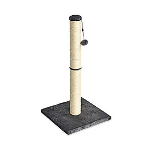 Amazon Basics Cat Scratching Post, Medium, 15.75" x 15.75" x 31.5"H, Grey