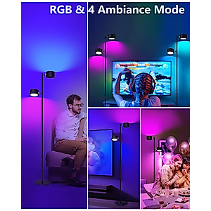 Floor Lamps,LED Tall Standing Pole Lights with Touch&Remote Control, Rechargeable Battery, Standard Dloor lamp with 3 Color Tempes&3 Brightness,RGB&4 Ambience Modes for Reading/Living Room/Sofa/Gaming