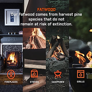 EcoBlaze Fatwood Fire Starter Sticks Natural Firestarter for Kindling, Campfires Wood Stoves Fireplaces Fire Bonfires Pits Grill BBQ Non-Toxic 100% Organic(Fatwood 10Lbs)