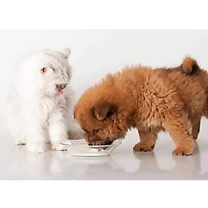 pet ultimate probiotics for dogs - PET PROBIOTIC - DOGS AND CATS - DIGESTIVE BOOST - GET RID OF BAD BREATH AND STOP DIARRHEA - lactobacillus acidophilus for dogs - 2 Bottles (120 Treats)