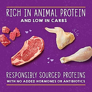 Stella & Chewy’s Carnivore Cravings Savory Shreds Cans – Grain Free, Protein Rich Wet Cat Food – Cage-Free Chicken & Grass-Fed Beef Recipe – (5.2 Ounce Cans, Case of 24)