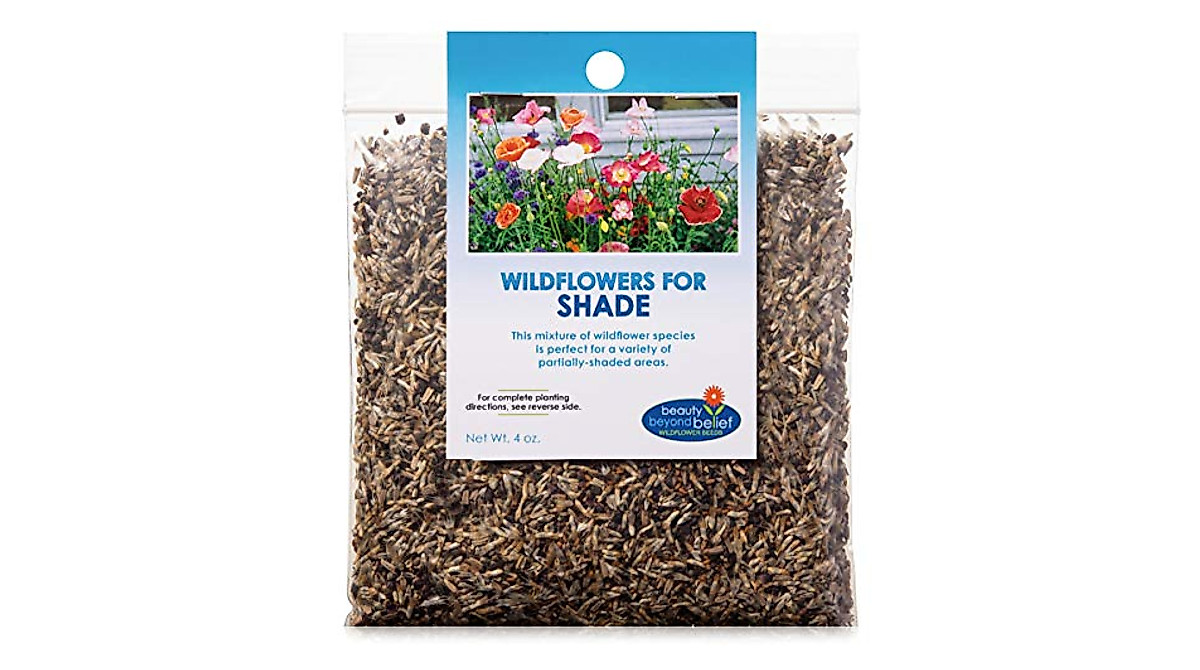 Quality Partial Shade Wildflower Seeds - 4 oz Mix