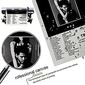ZGSDGF The Weeknd Poster Trilogy Music Album Cover Canvas Wall Art Rapper Posters Room Aesthetic Wall Decor for Bedroom Living Room Bathroom 12x18 inch Unframed