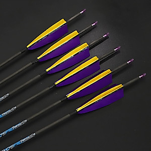 800 Spine Arrow 30 Inch Arrow Target Practice Arrow Hunting Arrow Carbon Arrows Compound Bow Recurve Bow Adult Youth Archery Indoor Outdoor Shooting Bullet Tip 12pc Purple