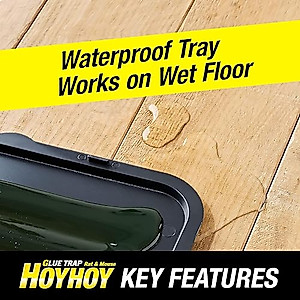 HOY HOY Rat & Mouse Regular Size Glue Trap 8 Traps [4 Pack] - Heavy-Duty Professional Strength Ready-to-Use Pest Control, Kids & Pets Friendly Indoor Home Mouse and Other Household Pests