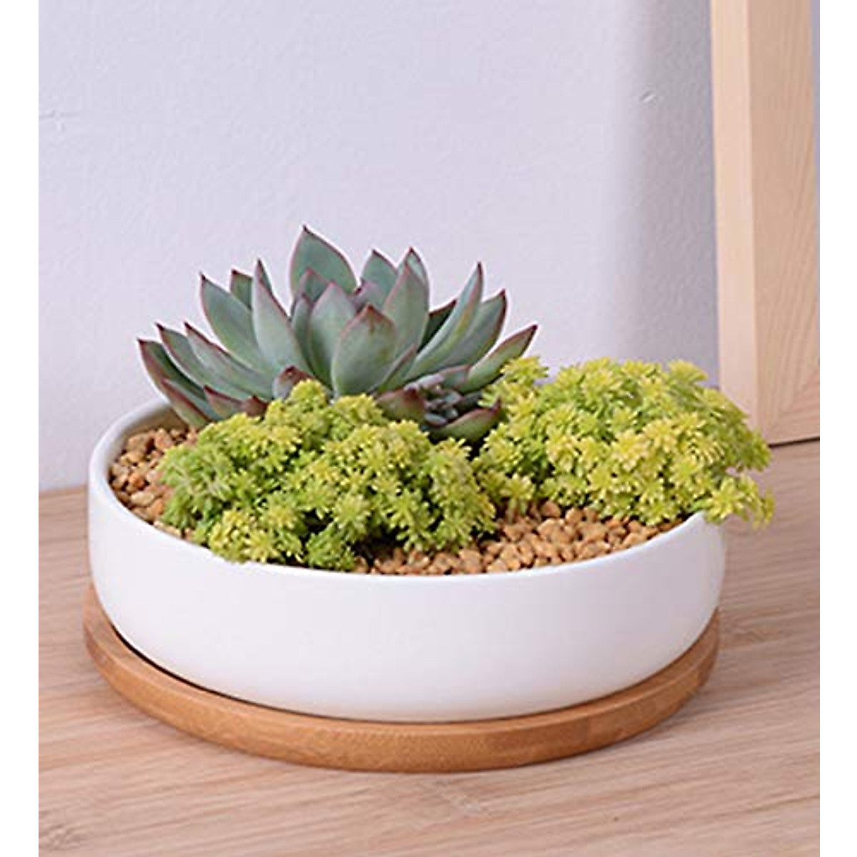 Lawei 3 Pack 6 inch Round Succulent Cactus Planter Pots with Drainage Bamboo Tray - Garden Ceramic Flower Planter Pot