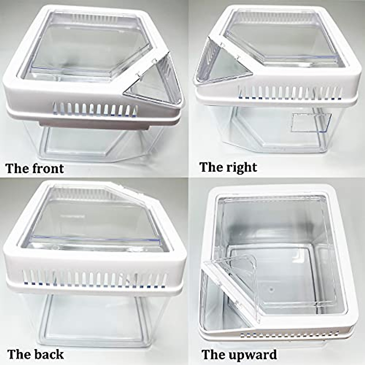 PINVNBY Reptile Feeding Box Acrylic Reptile Cage Transparent Portable Cube Container for Spiders Lizards Frogs Crickets Turtles Crabs