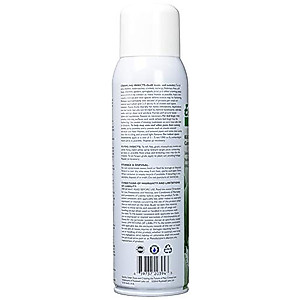 Rockwell Labs EVCA016 EcoVia CA Insecticide Contact Aerosol